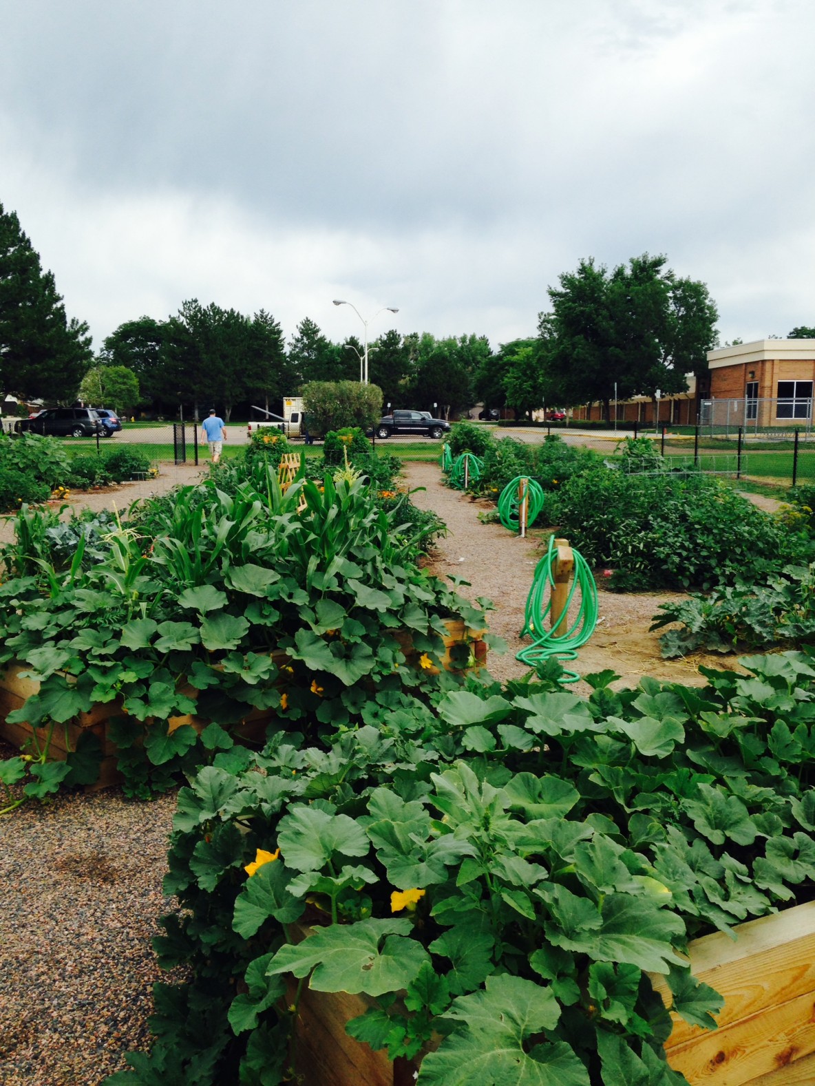 Little Sprouts Community Garden | Bohemian Cottage